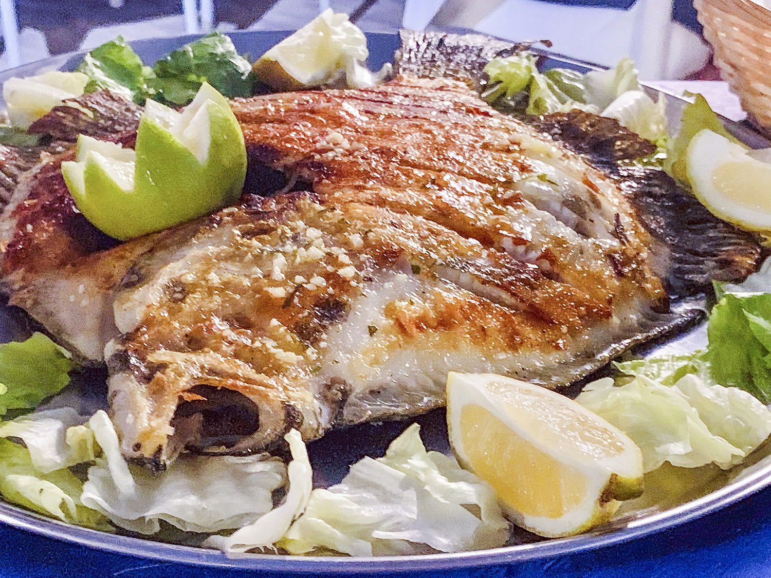 El rodaballo, rey del mar - La Mesa Habla