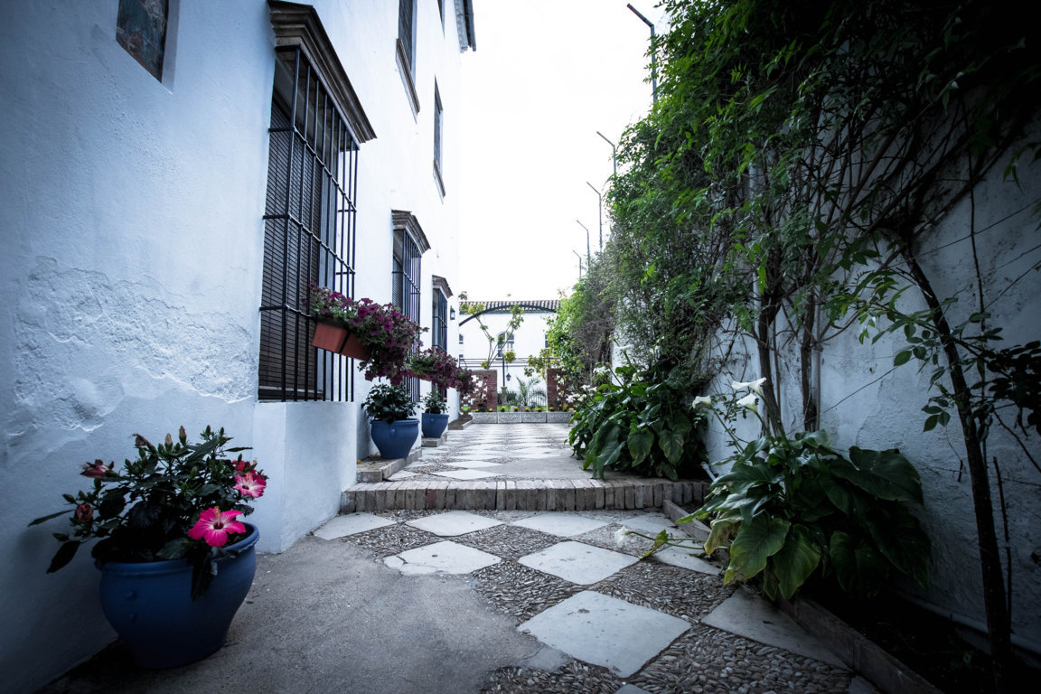 SOMA CLUB FILM, el Festival de Microcine de Montilla - La Mesa Habla