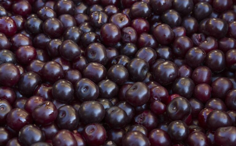 Las cerezas, la fruta de temporada más deseable - La Mesa Habla