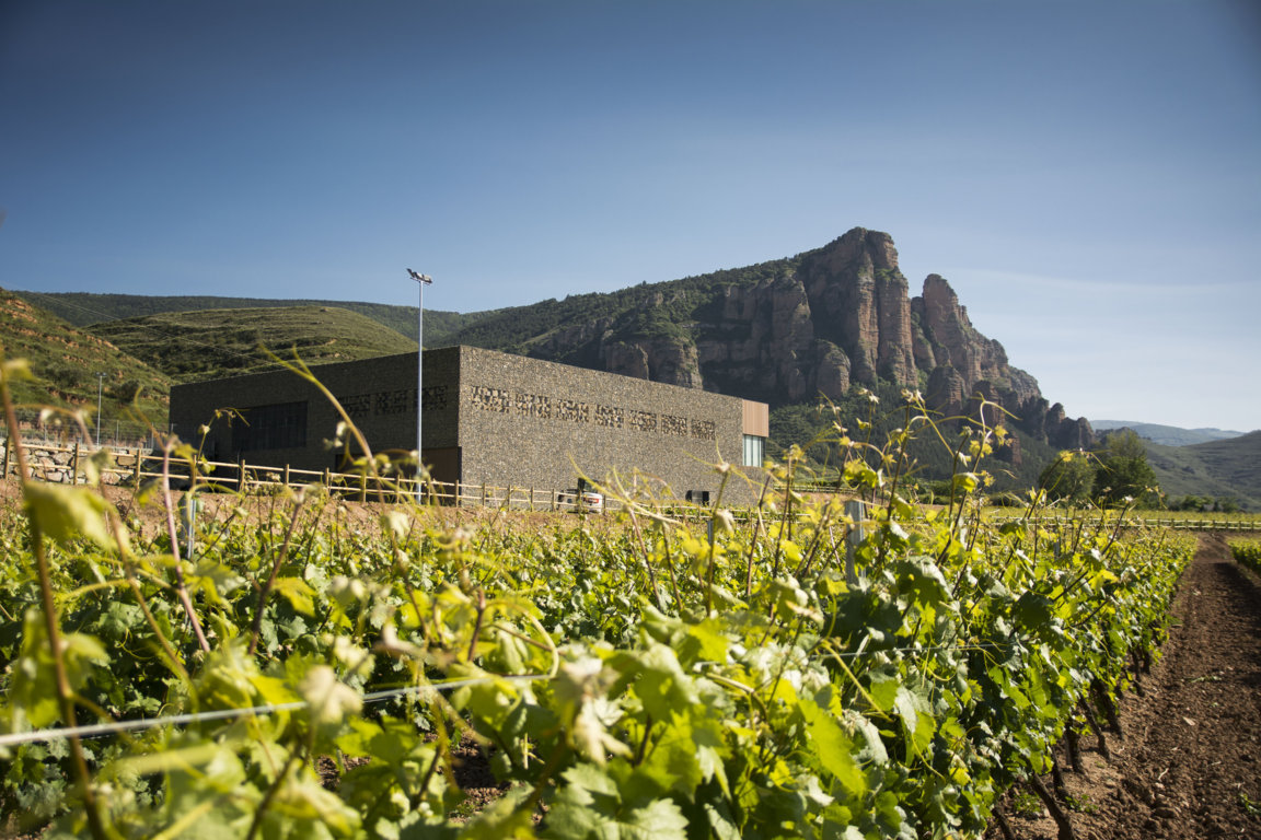 Nivarius: blancos en tierras de tintos - La Mesa Habla